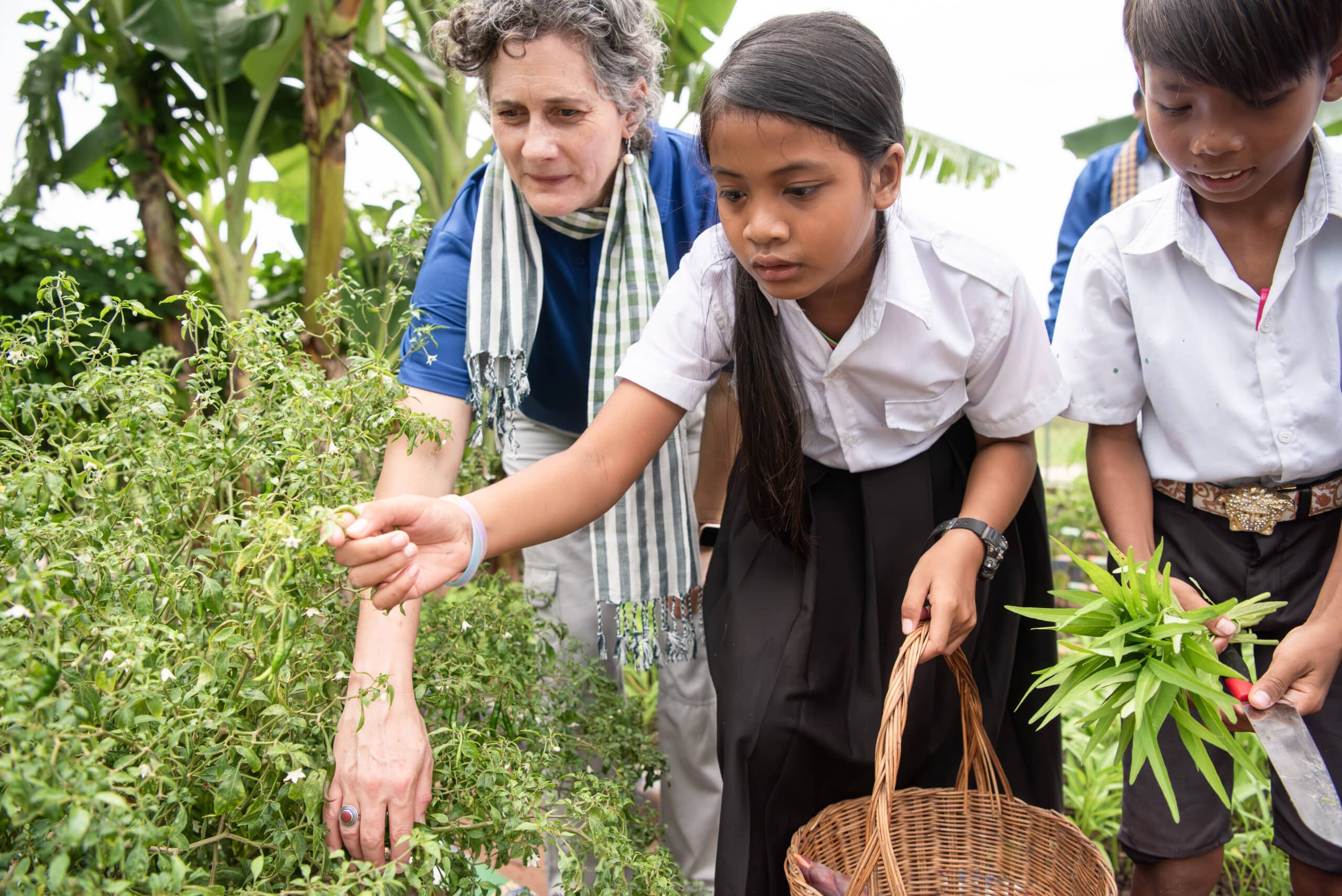 Celebrating a Transformative Initiative: Plan International Australia's ...